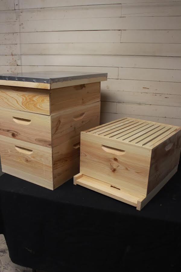 Apiary Kit: 8 Frame | Midnight Bee Supply