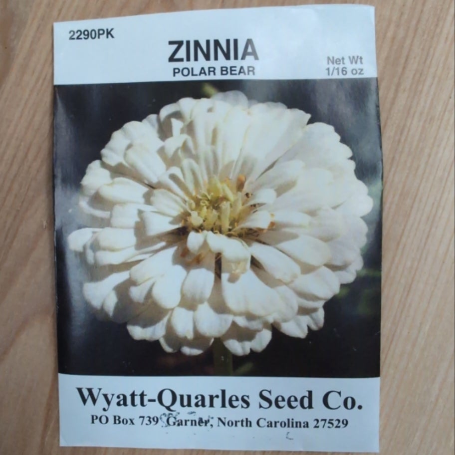 Zinnia Polar Bear Seed Packet | Midnight Bee Supply