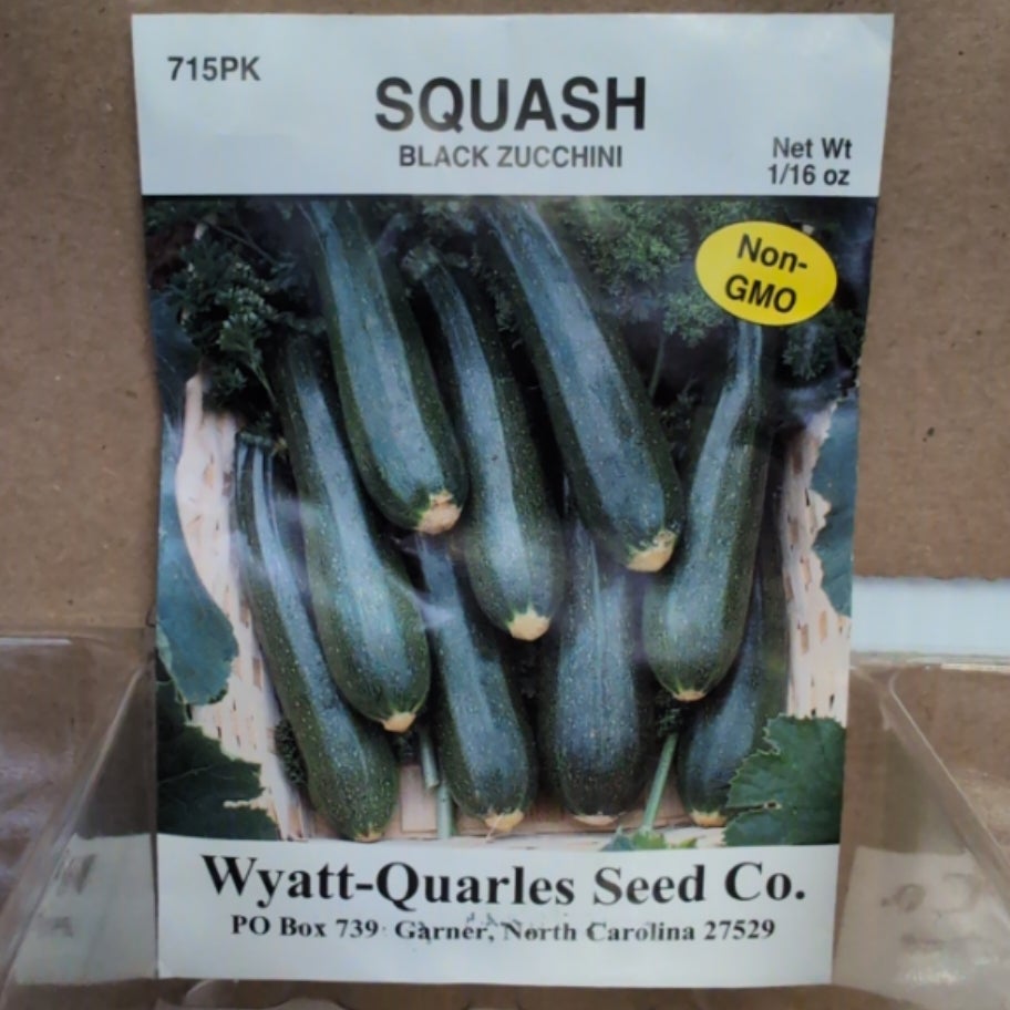 Squash Black Zucchini Seed Packet | Midnight Bee Supply