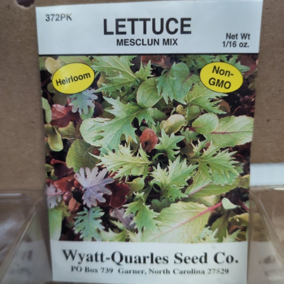 Lettuce Mesclun Mix Seed Packet | Midnight Bee Supply