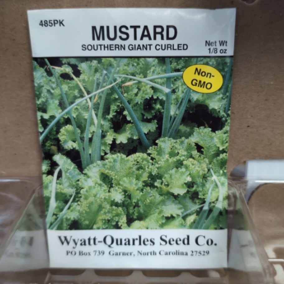 Mustard Southern Giant Curled Seed Packet | Midnight Bee Supply