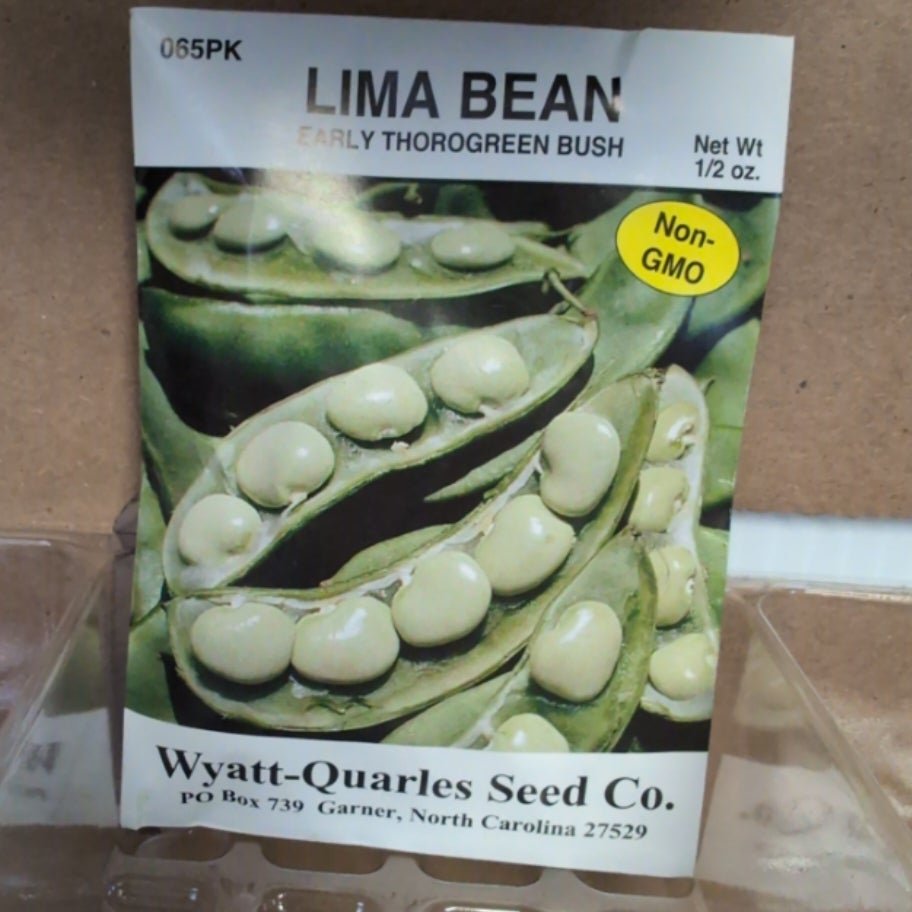 Lima Bean Early Thorogreen Bush Seed Packet | Midnight Bee Supply