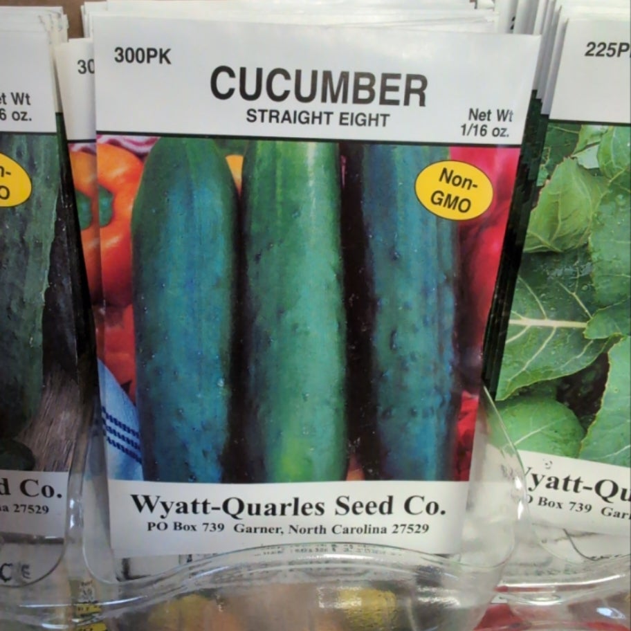 Cucumber Straight Eight Seed Packet | Midnight Bee Supply