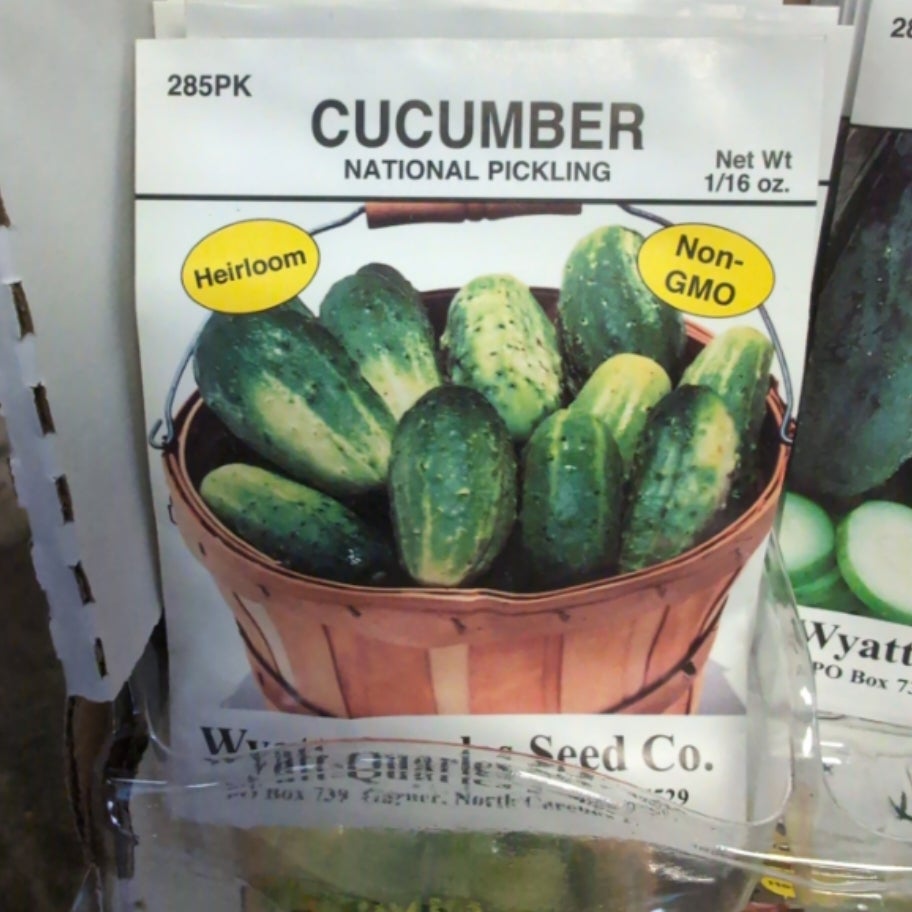 Cucumber National Pickling Seed Packet | Midnight Bee Supply
