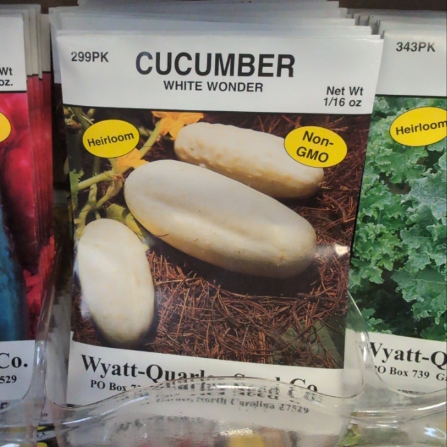 Cucumber White Wonder Seed Packet | Midnight Bee Supply