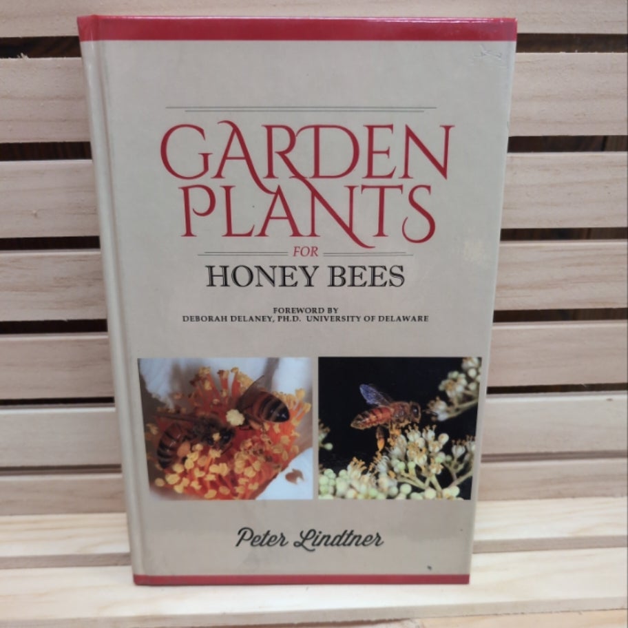 Garden Plants For Honey Bees | Midnight Bee Supply