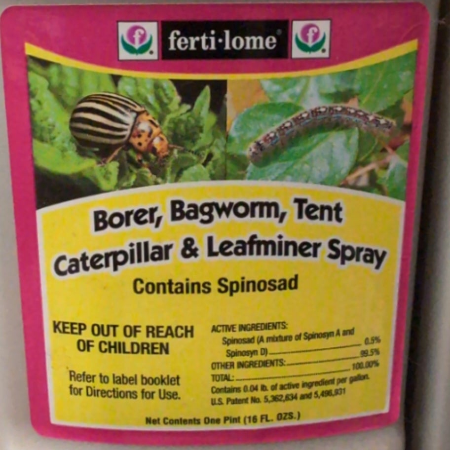 Fertilome Borer, Bagworm, Tent Caterpillar, and Leafminer Spray ...